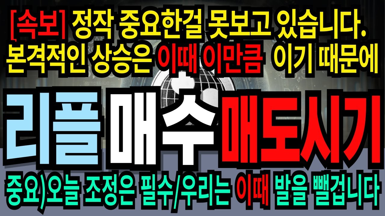 엑스알피 Xrp 리플 전망 💯리플 매수매도시기 🚨중요 속보 정작 중요한걸 못보고 있습니다 본격적인 상승은 이때