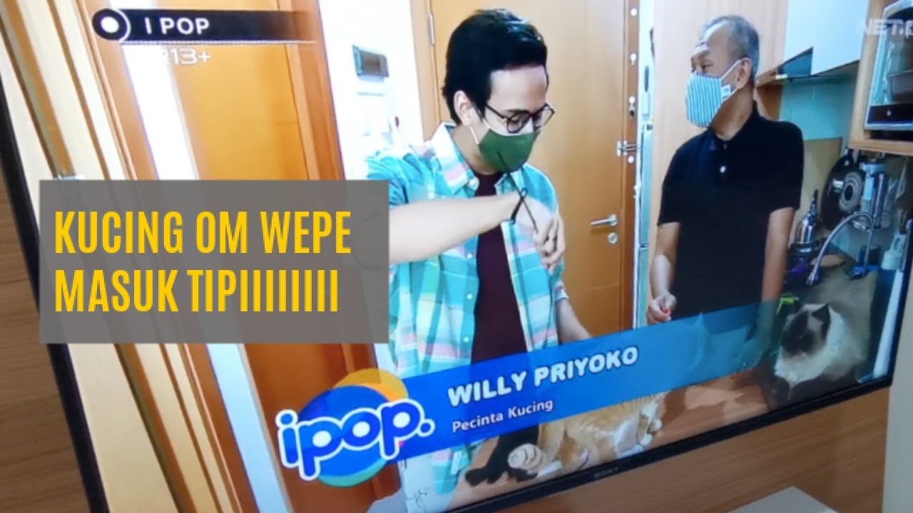 Ngajak Kucing Nonton Liputan Kucing Om Wepe di IPOP Net News - YouTube