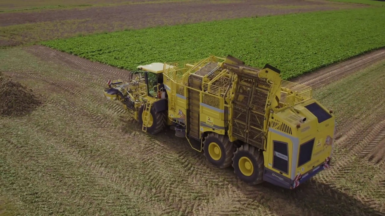 ROPA Tiger 6 Chicoree - YouTube