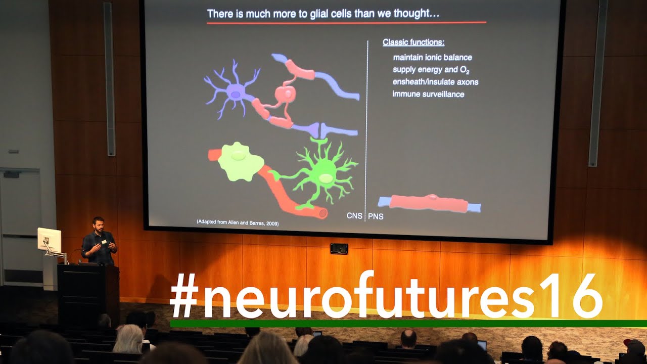 NeuroFutures 2016 | Marc Freeman - YouTube