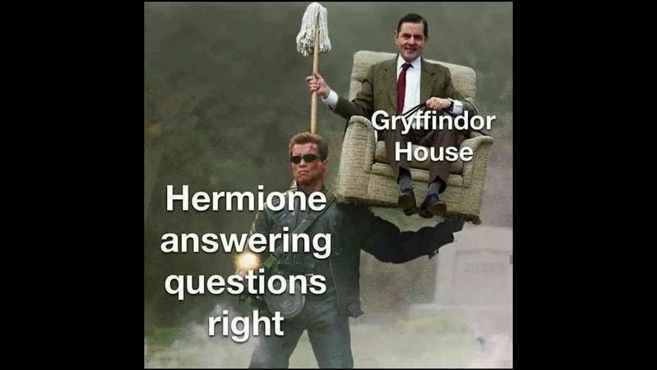Harry Potter Memes Only Fans Will Understand Youtube