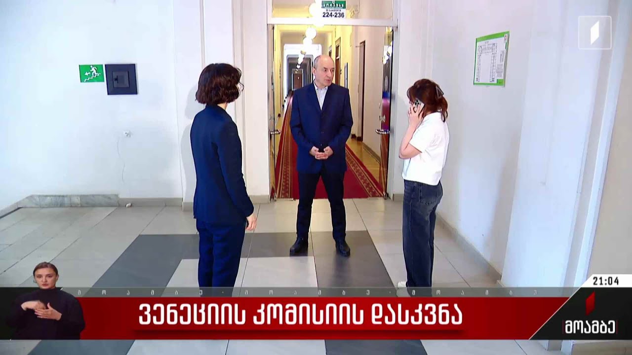 ვენეციის კომისიის დასკვნა Youtube