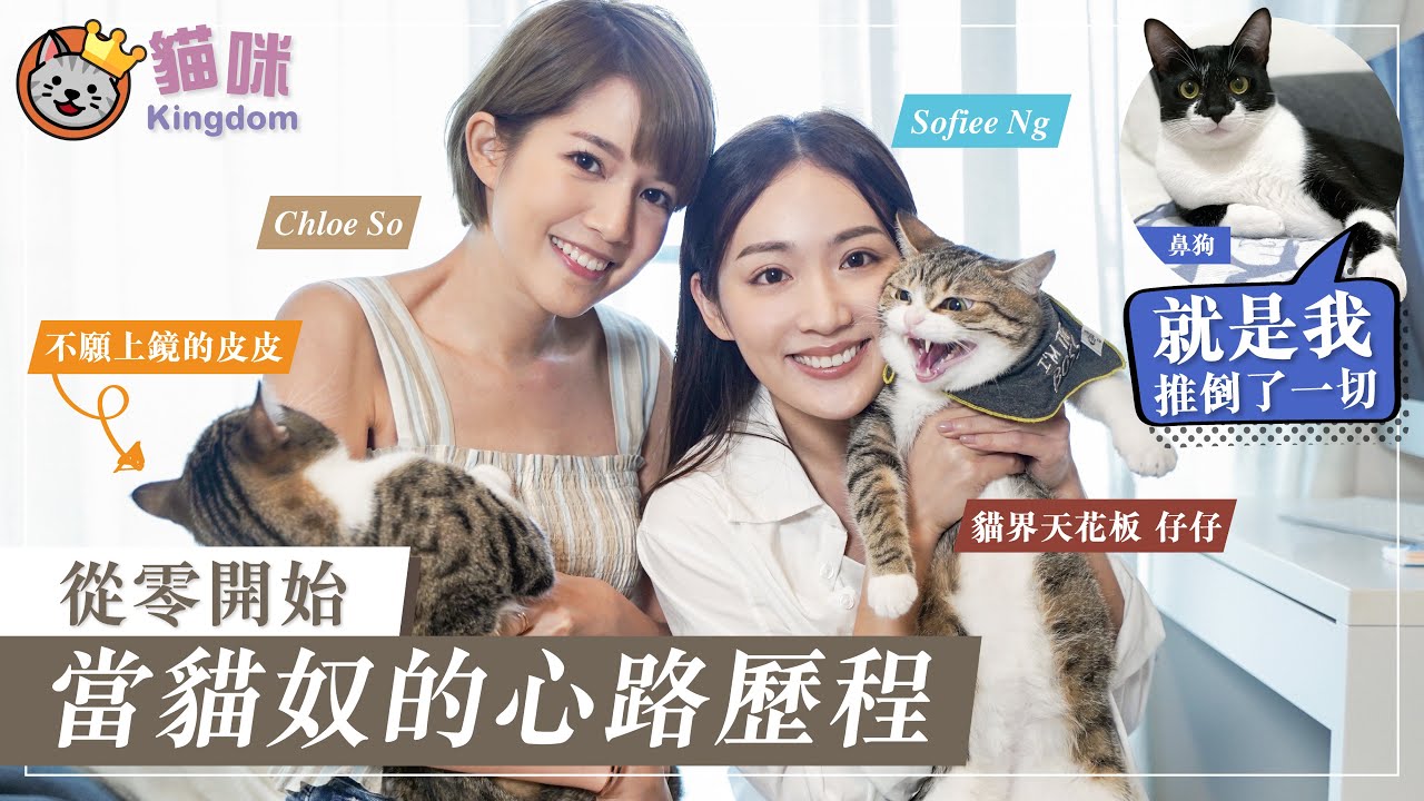 Sofiee x 蘇皓兒｜從零開始養貓咪的心路歷程｜剷屎官Sofiee 魔音大戰喵星人｜養貓最嚴重事故 遇上不負責任真．獸醫｜貓奴出沒注意（附大量玩貓鏡頭） - Sofiee Ng 吳海昕 ...