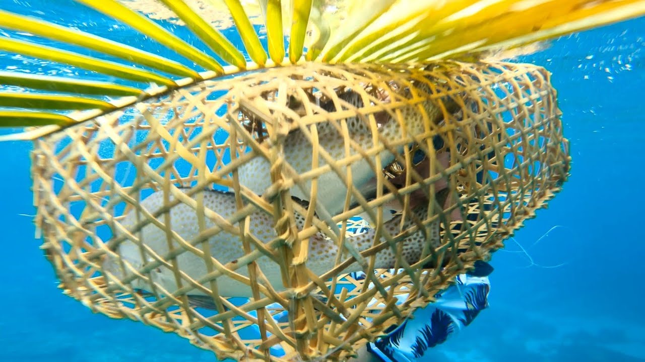 small FISH-TRAP pero puro malalaki Yung mga nahuhuli - YouTube
