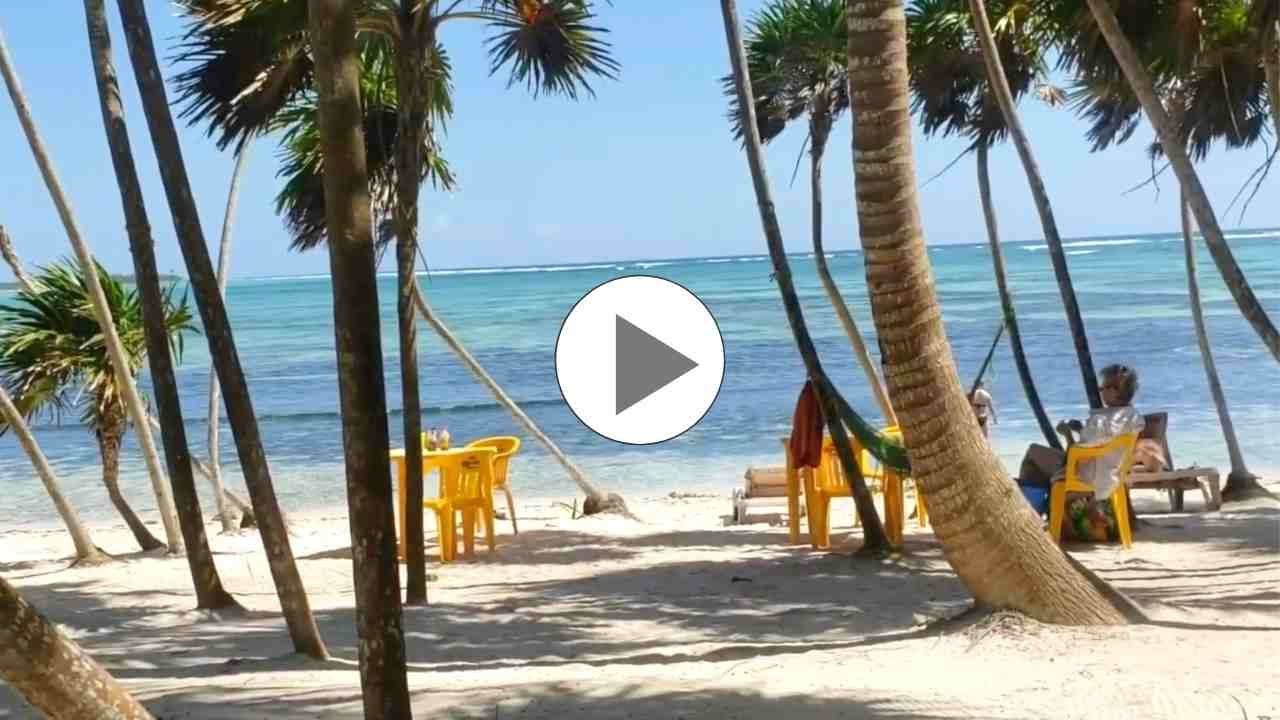 Chamicos Restaurant in Bahia Soliman, Mexico - Adventure Guru - YouTube