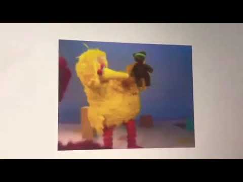 Big Bird’s Teddy Bear Radar Exercises - YouTube