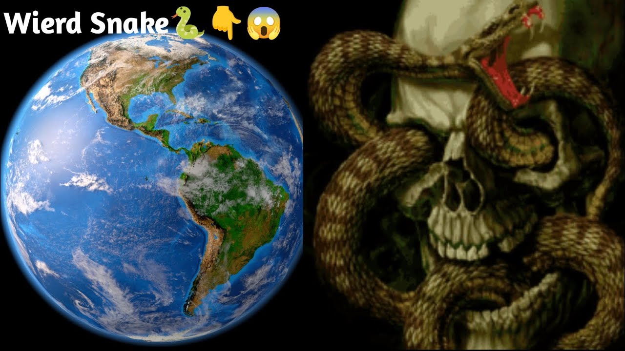 weird snake 🐍😯 on google map and google earth #map #earth # ...