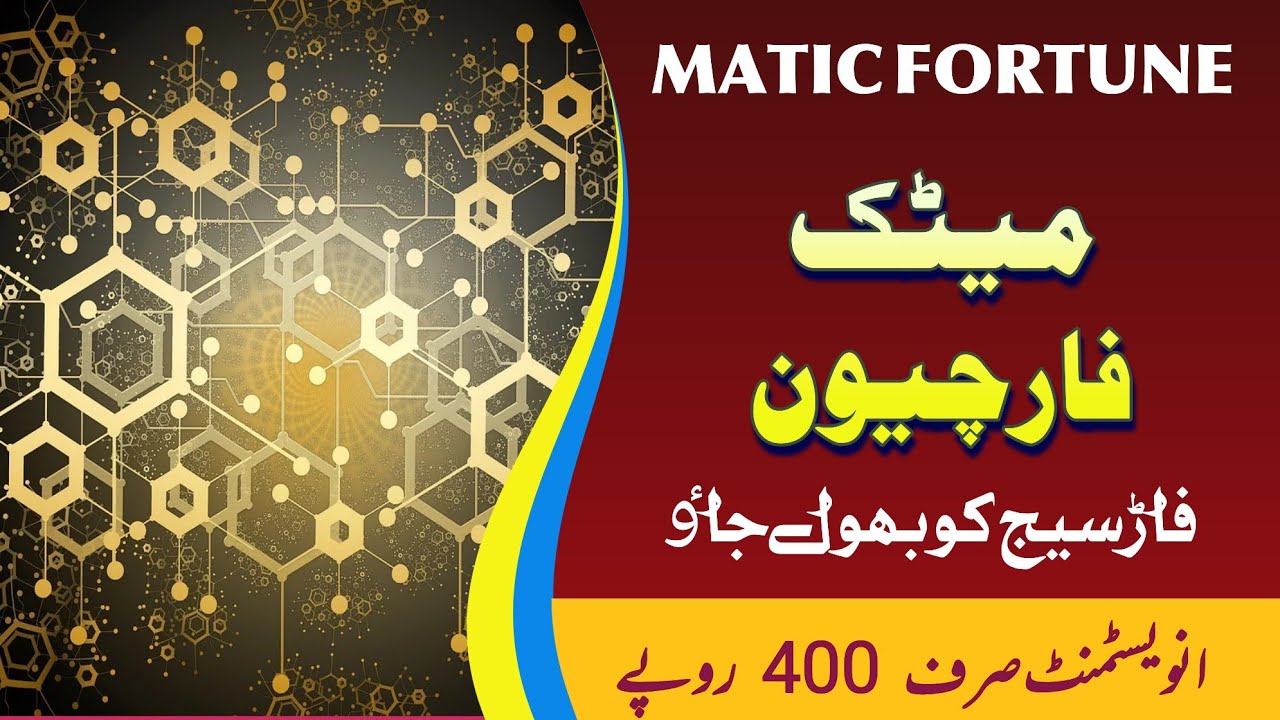 Matic Fortune Business Plan | Real or Fake - YouTube