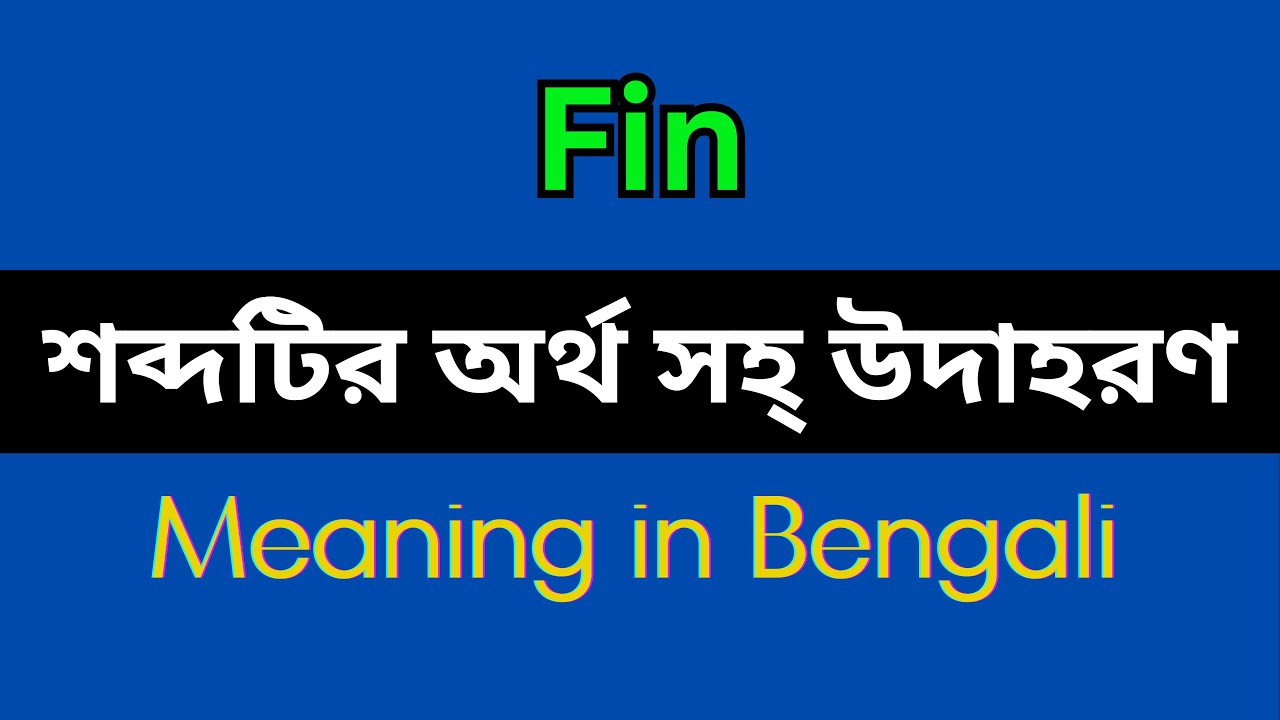 Fin Meaning in Bengali/Fin Mane Ki, Fin Explain in Bengali - YouTube