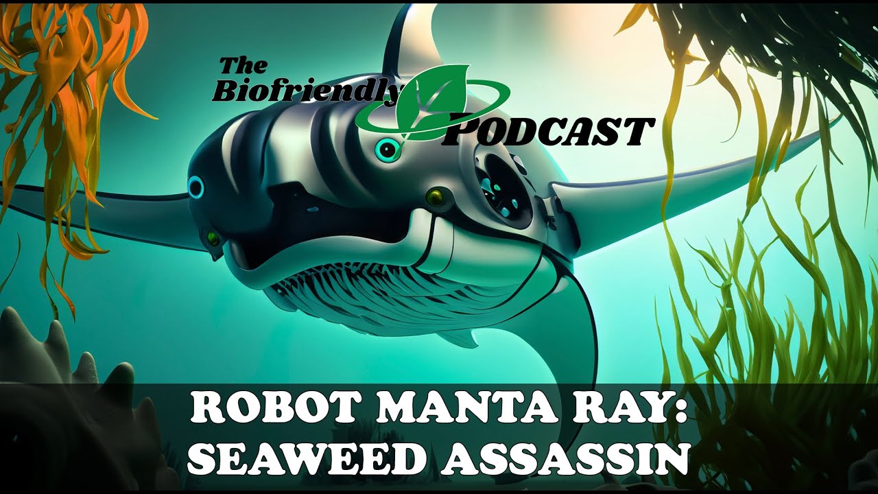 Robot Manta Ray: Seaweed Assassin - Episode 234 | The Biofriendly ...