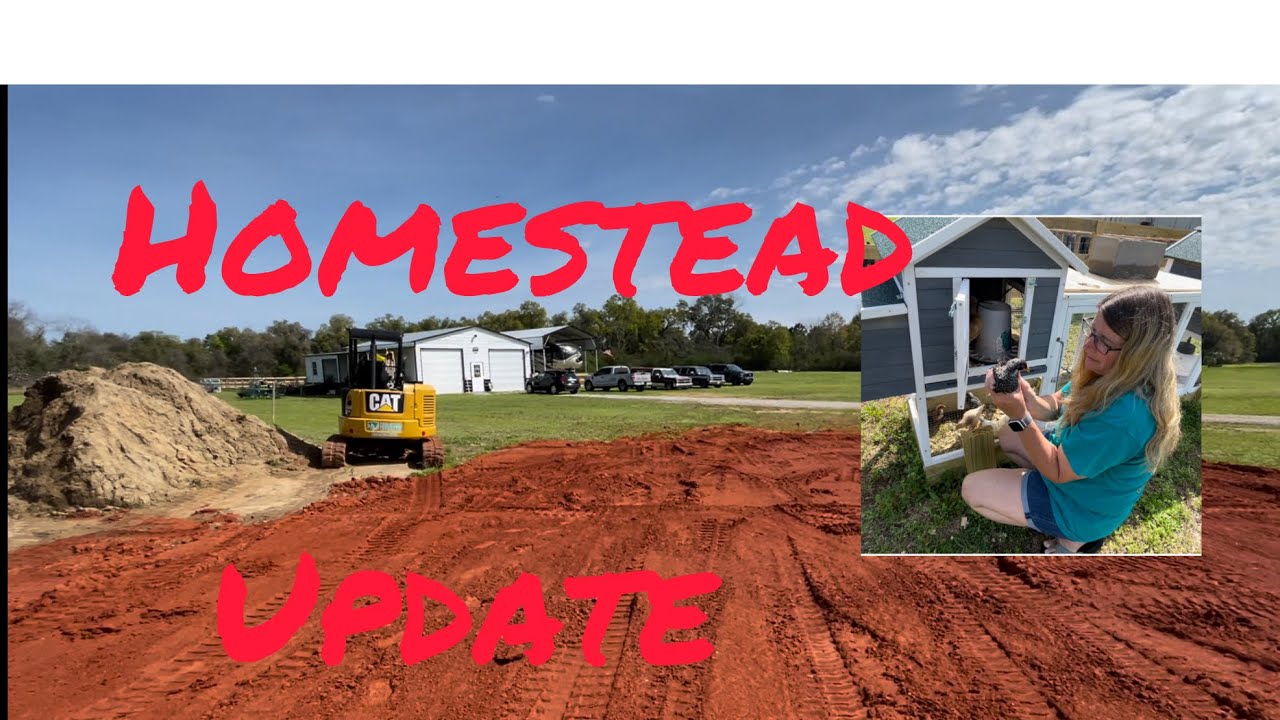Homestead update! Things are moving fast! - YouTube