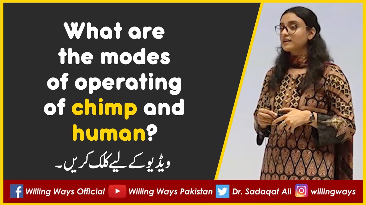 What are the modes of operating of chimp and human? - YouTube