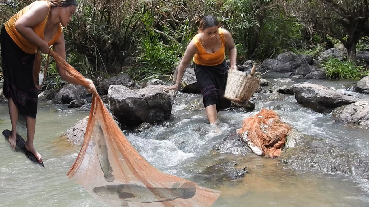 Fishing in forest - YouTube