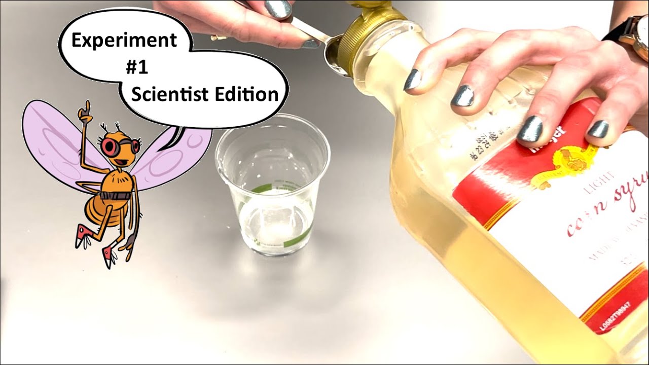 Spy Fly’s Experiment #1: How sweet it is! - Scientist Edition - YouTube