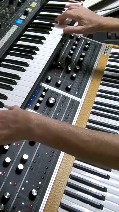 moog muse and moog one together. - YouTube