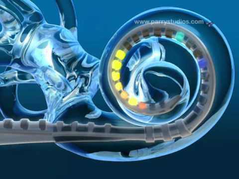 Bionic Hearing by Graeme Clark - YouTube