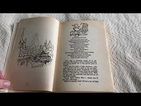 Pinocchio Chapter Book Overview