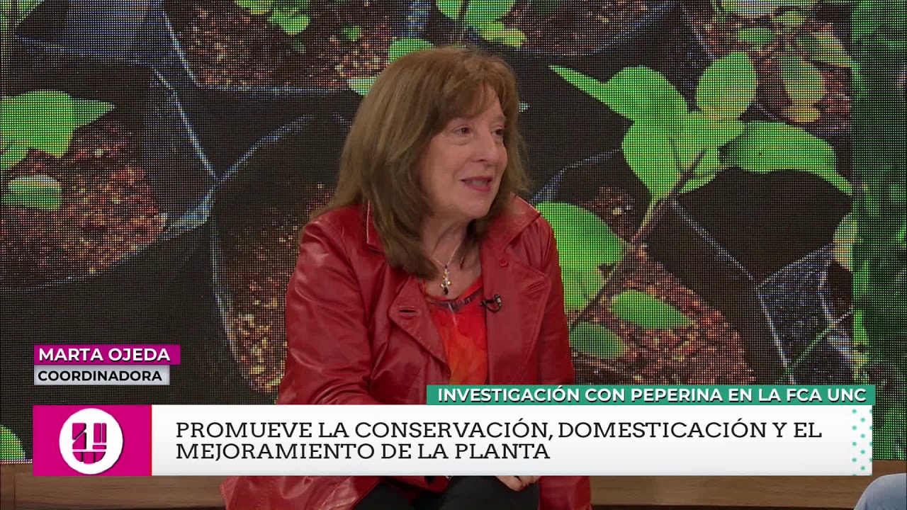 Peperina: cómo cultivar y preservarla - YouTube
