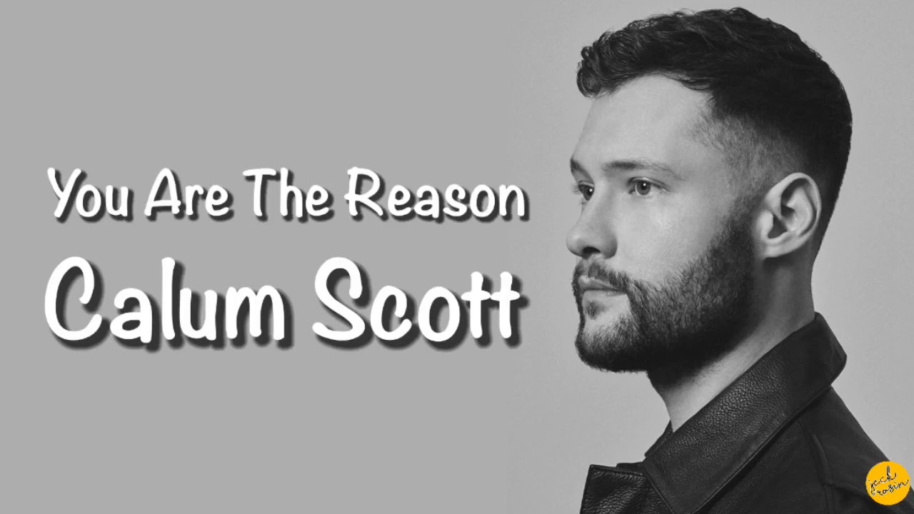 You Are The Reason - Calum Scott (Lyrics) - YouTube