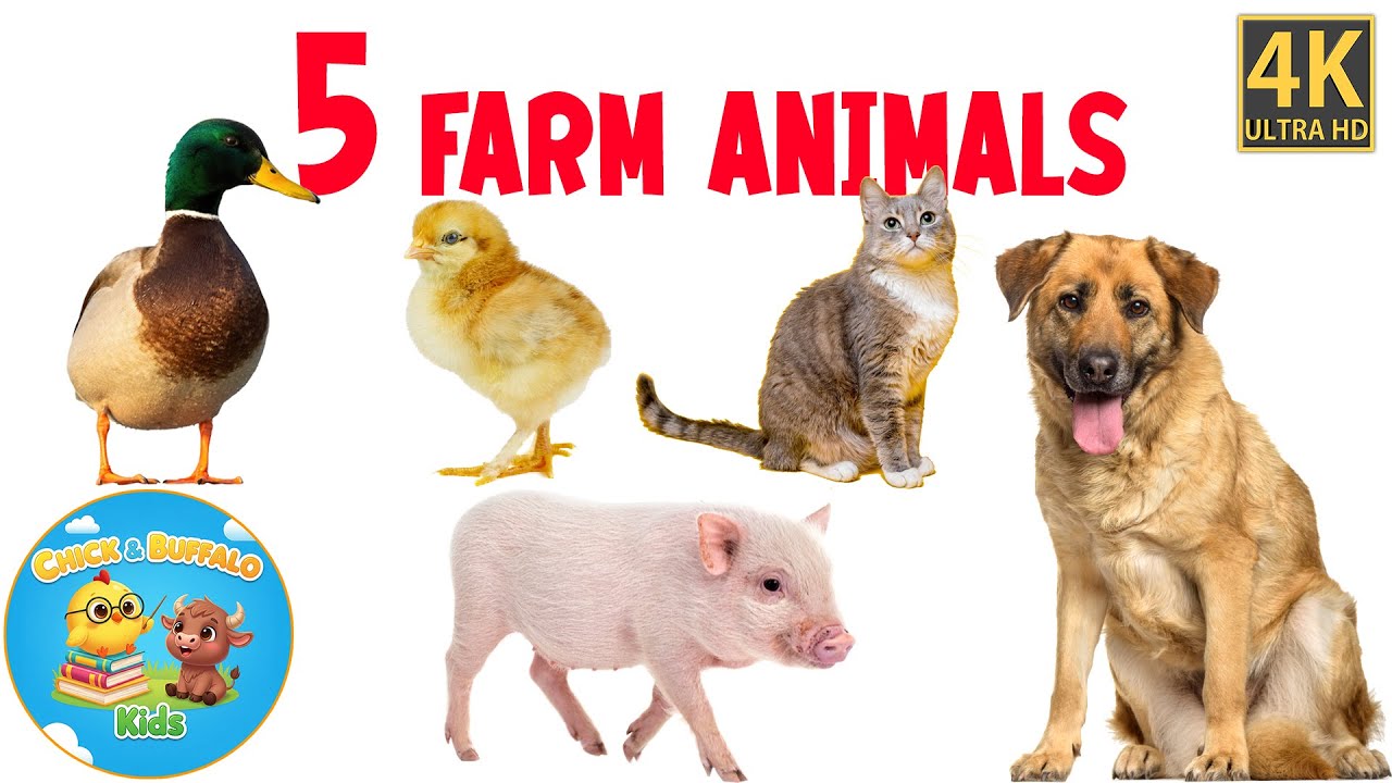 5 Farm Animals (Dog, Cat...) & Real Sounds | Learn English for Kids in ...