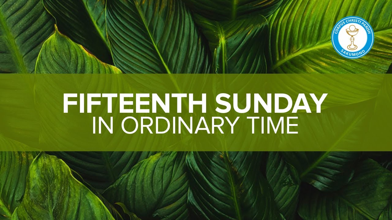 Fifteenth Sunday in Ordinary Time - 1st Mass - YouTube