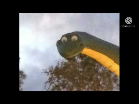 Unsettling dinosaur images with minecraft cave sounds