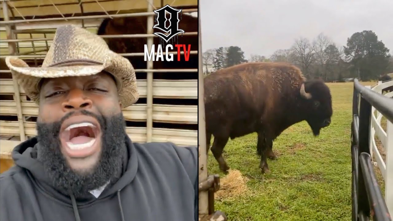 Rick Ross Goes Crazy After Getting 2 New Buffaloes! 🐃 - YouTube