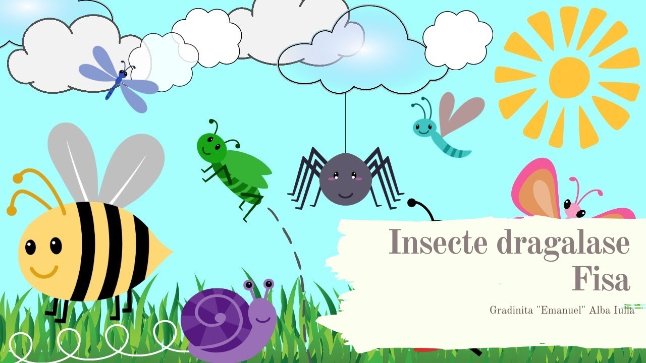 Insecte dragalase - Fisa | Gradinita Emanuel - YouTube