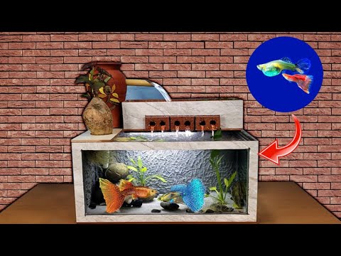 DIY Guppy fish aquarium tank ( Build using Styrofoam) - YouTube