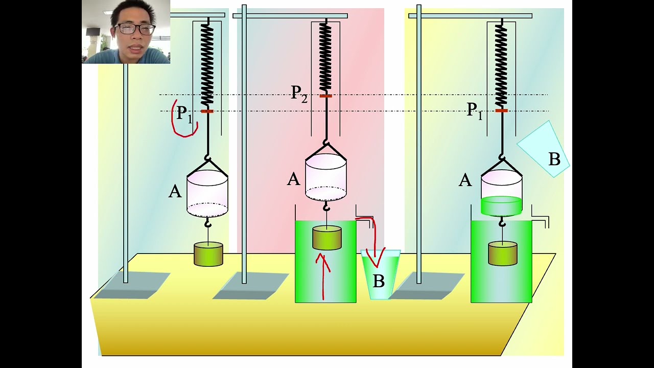 Vật Lý 8 Lực Đẩy Archimedes Archimedes' Principle - YouTube