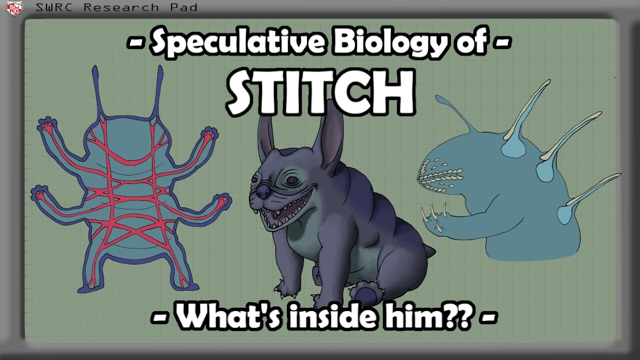 Speculative Biology of Stitch! 🔫🐨 - YouTube