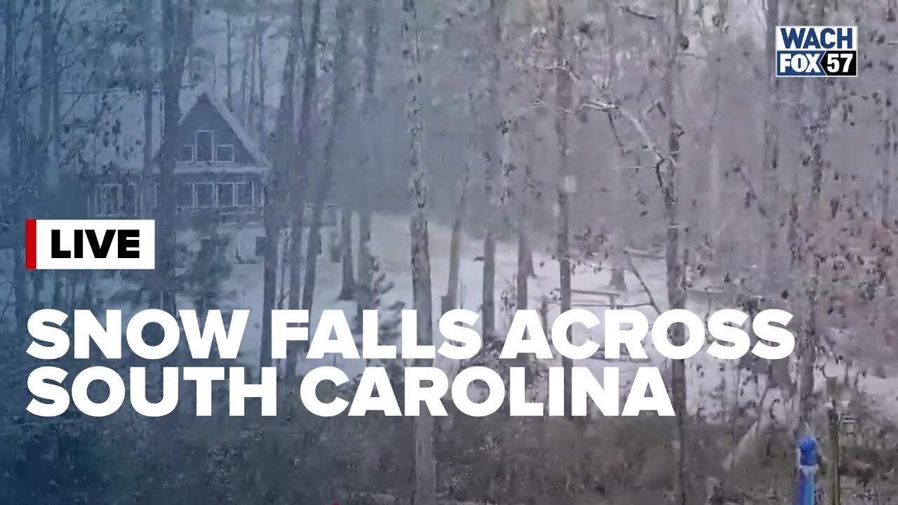 WACH LIVE: Updates on winter weather with Chief Meteorologist Taylor ...