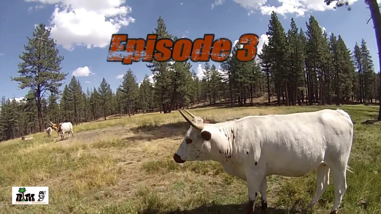 Camping In The Piute Mountains. Episode 3 - YouTube