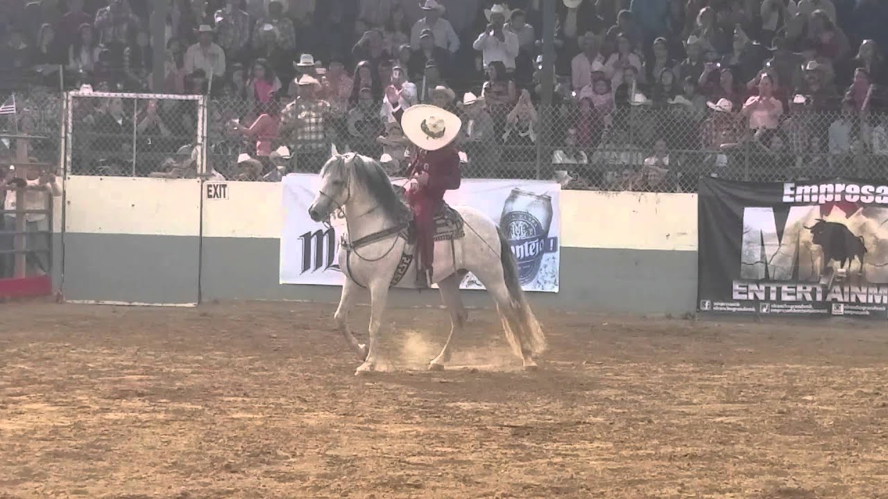 EZEQUIEL CHEQUE PENA CANTA PALOMITA BLANCA EN MORGAN HILL CALF - YouTube