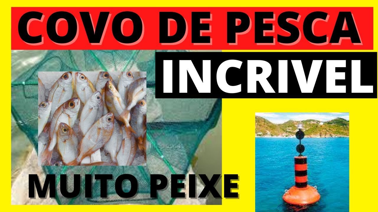 PESCANDO LAMBARI USANDO COVO DE PESCA, ARMADILHA PARA PEIXES - YouTube