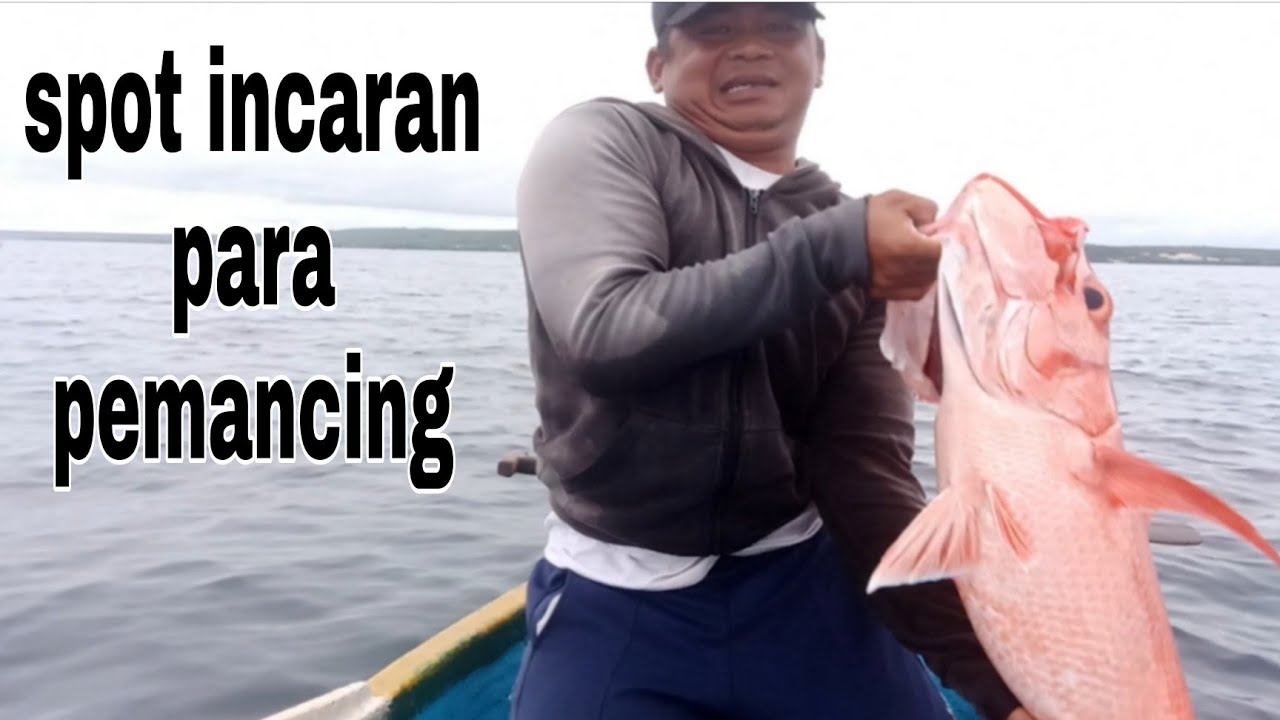 MENCOBA SPOT BARU || DIHUNI RUBY SNAPPER BABON || - YouTube