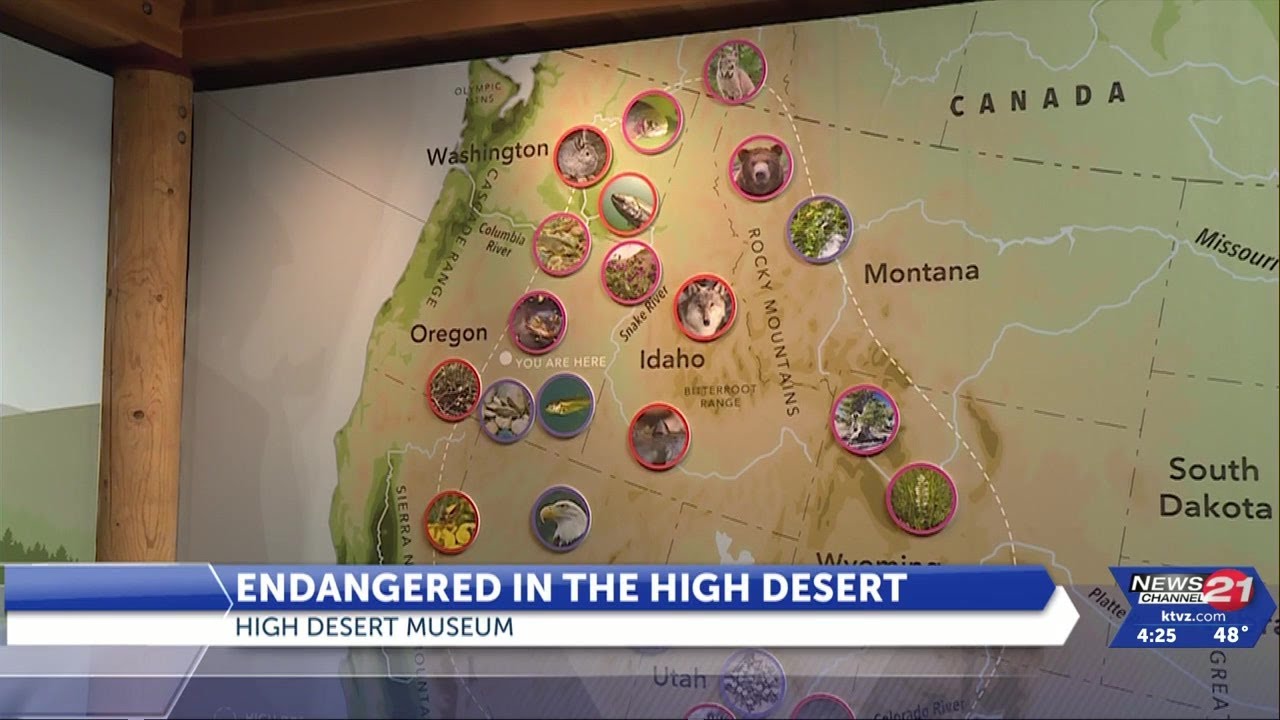High Desert Museum opens 'Endangered in the High Desert' Exhibit - YouTube