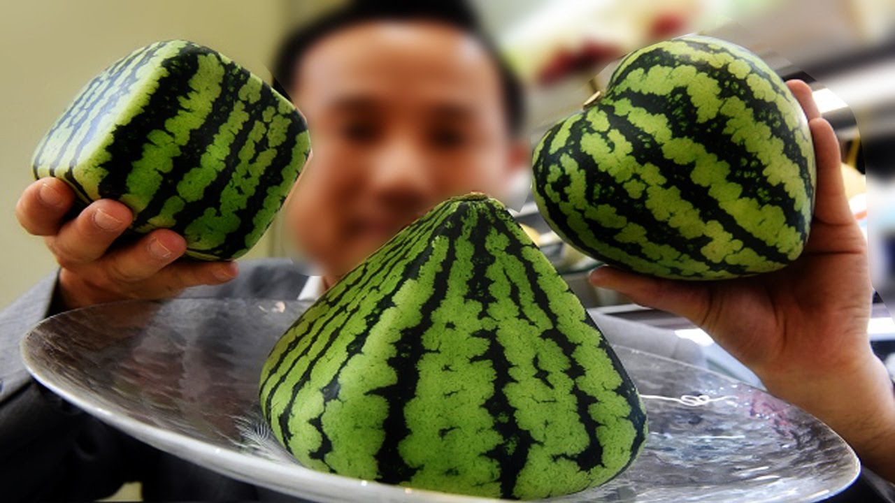 Las 10 Frutas Más Caras y Sorprendentes del Mundo - YouTube