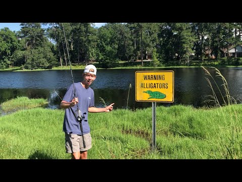 I Caught an Alligator!! (Google Maps Fishing Challenge part 1) - YouTube