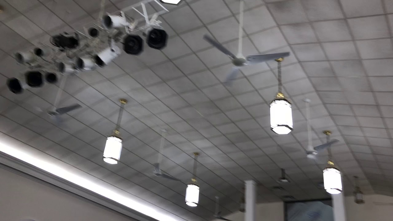 Commercial Ceiling Fans For Churches | Shelly Lighting