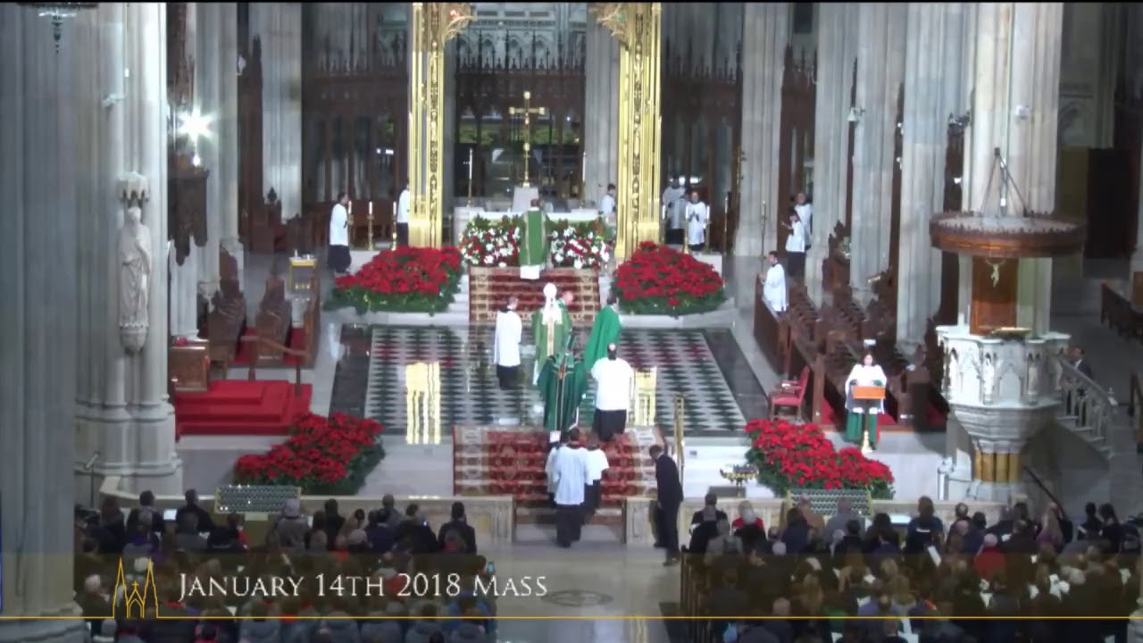 Praise, My Soul, the King of Heaven (LAUDA ANIMA) - YouTube