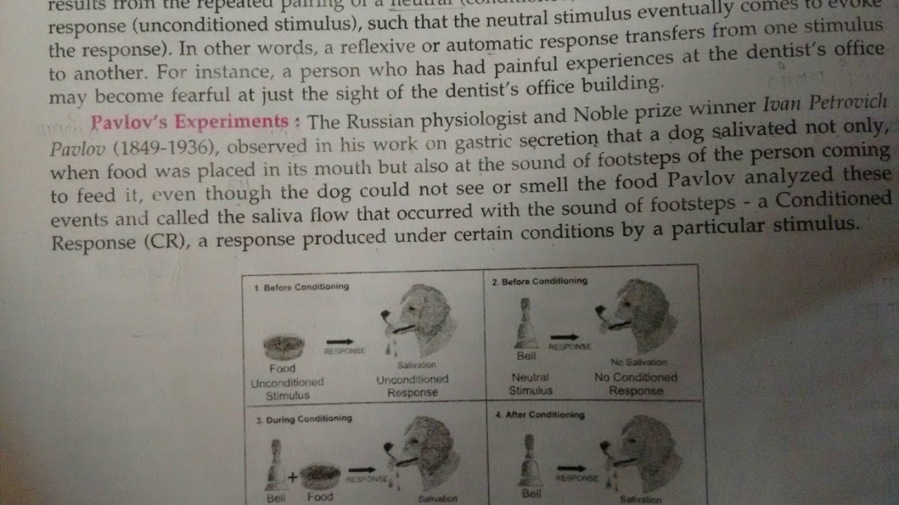 Psychology/theory of conditioned reflexes/book - YouTube