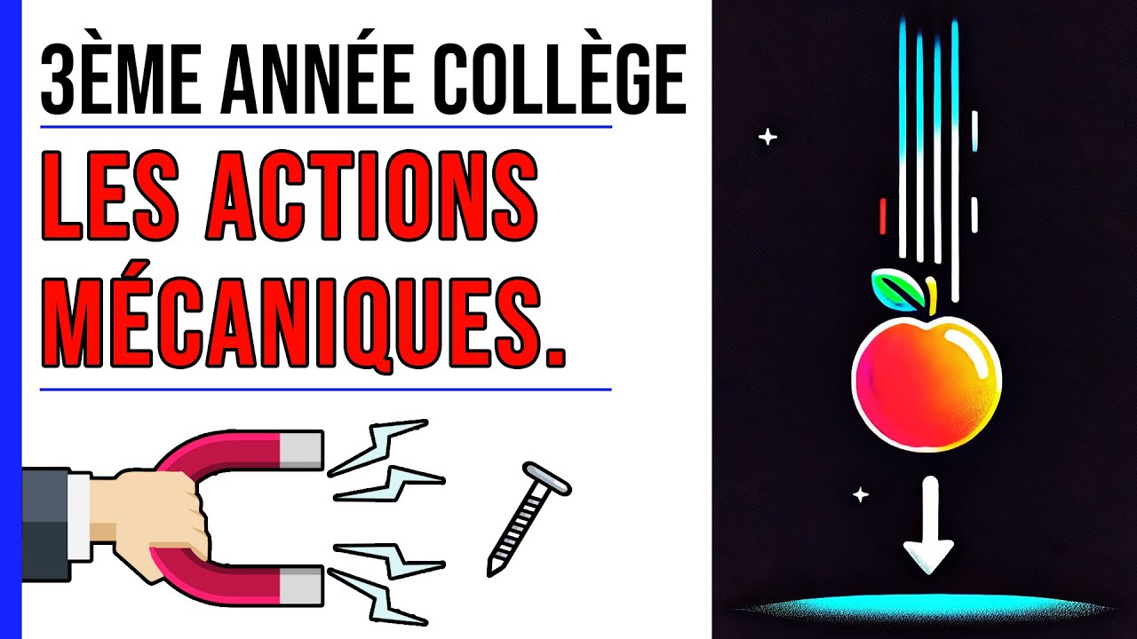 Notion de force 3ème année collège (Exercice 4/6) Les caractéristiques ...