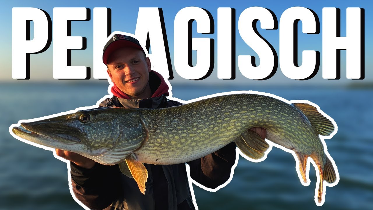 Erfolgreich Pelagisch angeln (Riesenhecht) |PikeFishingCrew| - YouTube