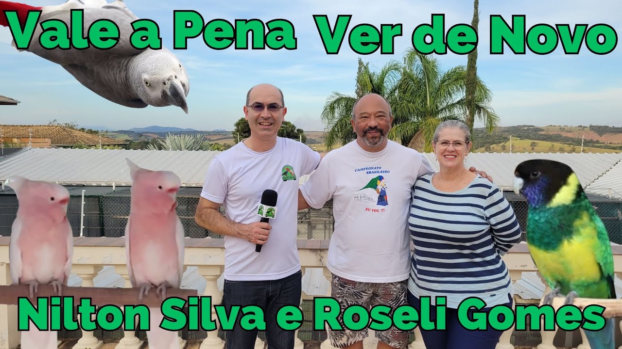 NILTON SILVA COM SEUS PSITACÍDEOS DE GRANDE PORTE!!!Vale a Pena Ver de ...