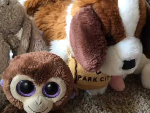 It’s stuffy day - YouTube