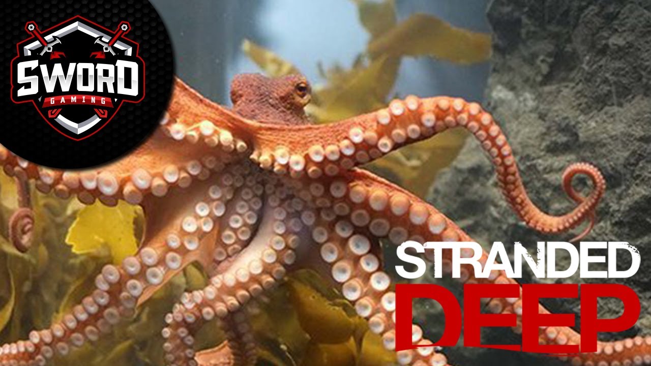 Dünyanın En Kötü Oyunu I Stranded Deep Full #8 Final - YouTube