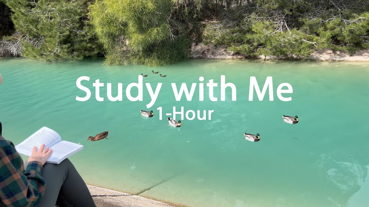 1-Hour Study with Me / Pomodoro Timer 60min / Relaxing Music & Ducks ...