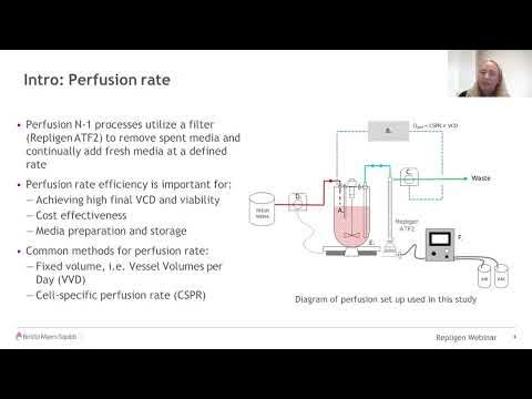 Evolution of upstream intensification: Optimizing perfusion processes with PAT - YouTube