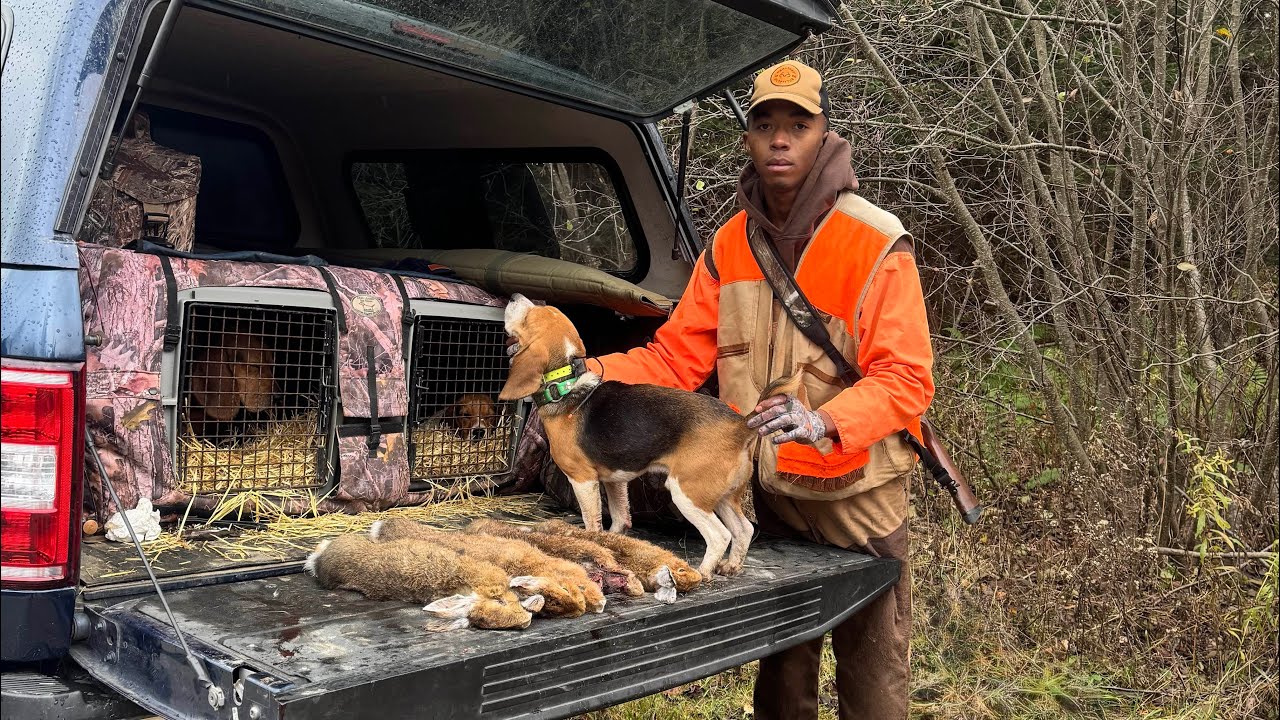 Vermont Hare Hunting | Wall to Wall Running! - YouTube